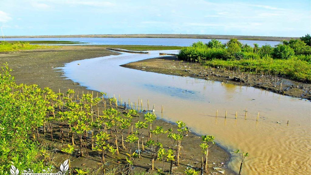 Pantai Baros ?️ HTM, Rute, Foto & Ulasan Pengunjung