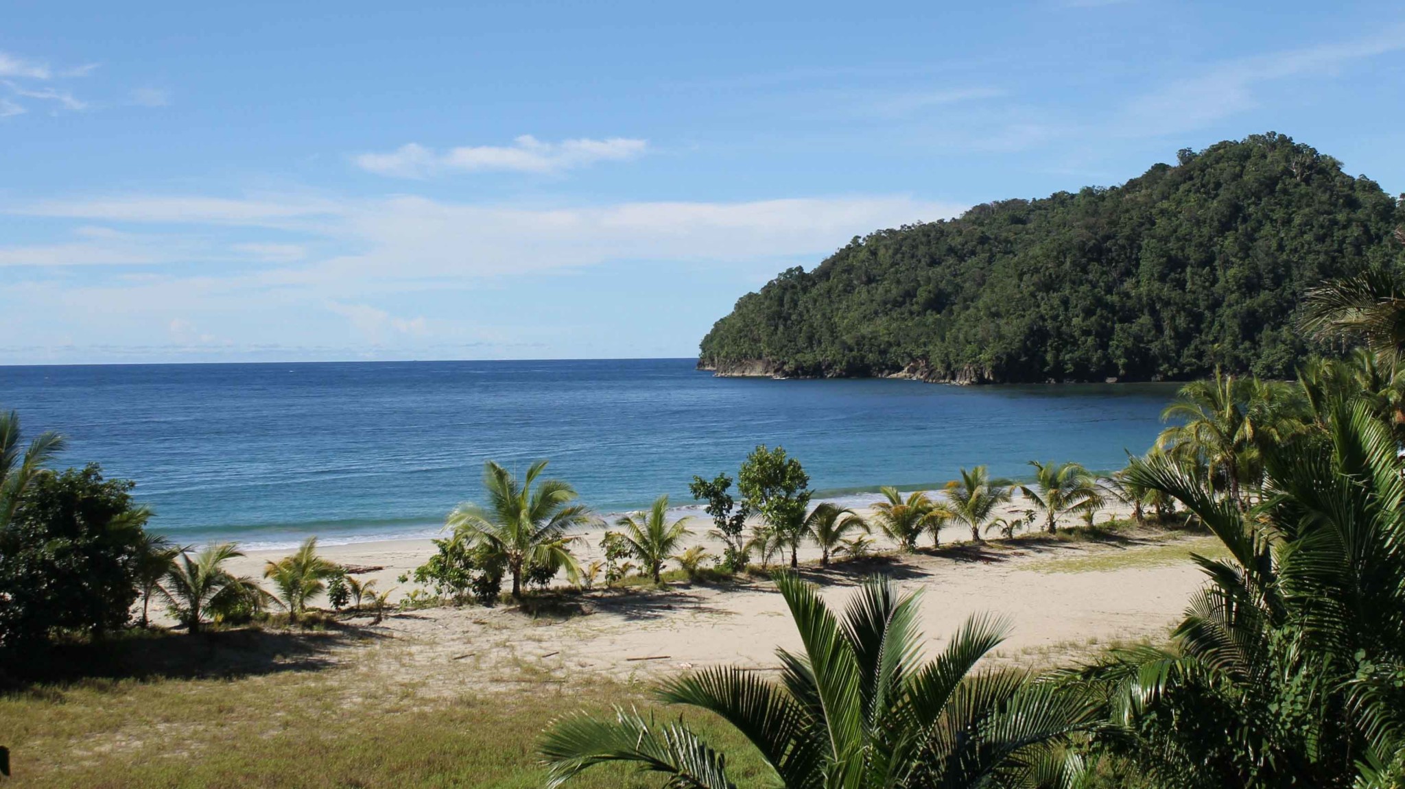 Pantai Harlem Papua ?️ HTM, Rute, Foto & Ulasan Pengunjung