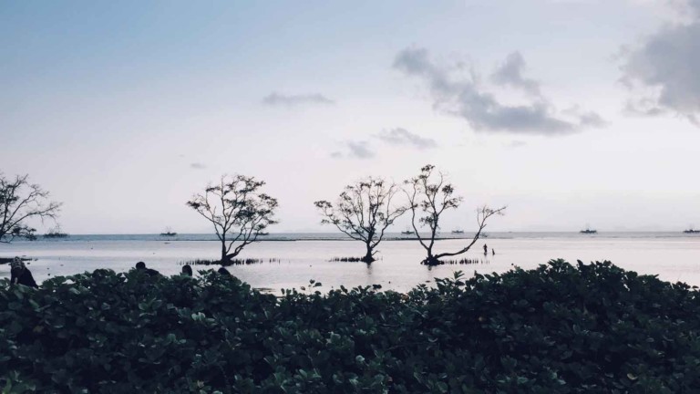 Pantai Ria Kenjeran 🏖️ HTM, Rute, Foto & Ulasan Pengunjung