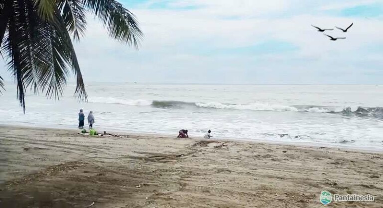 Pantai Pasir Putih Florida Anyer ?️ HTM, Rute, Foto & Ulasan
